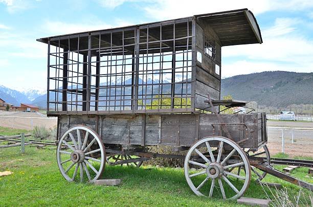 Tumbleweed wagons